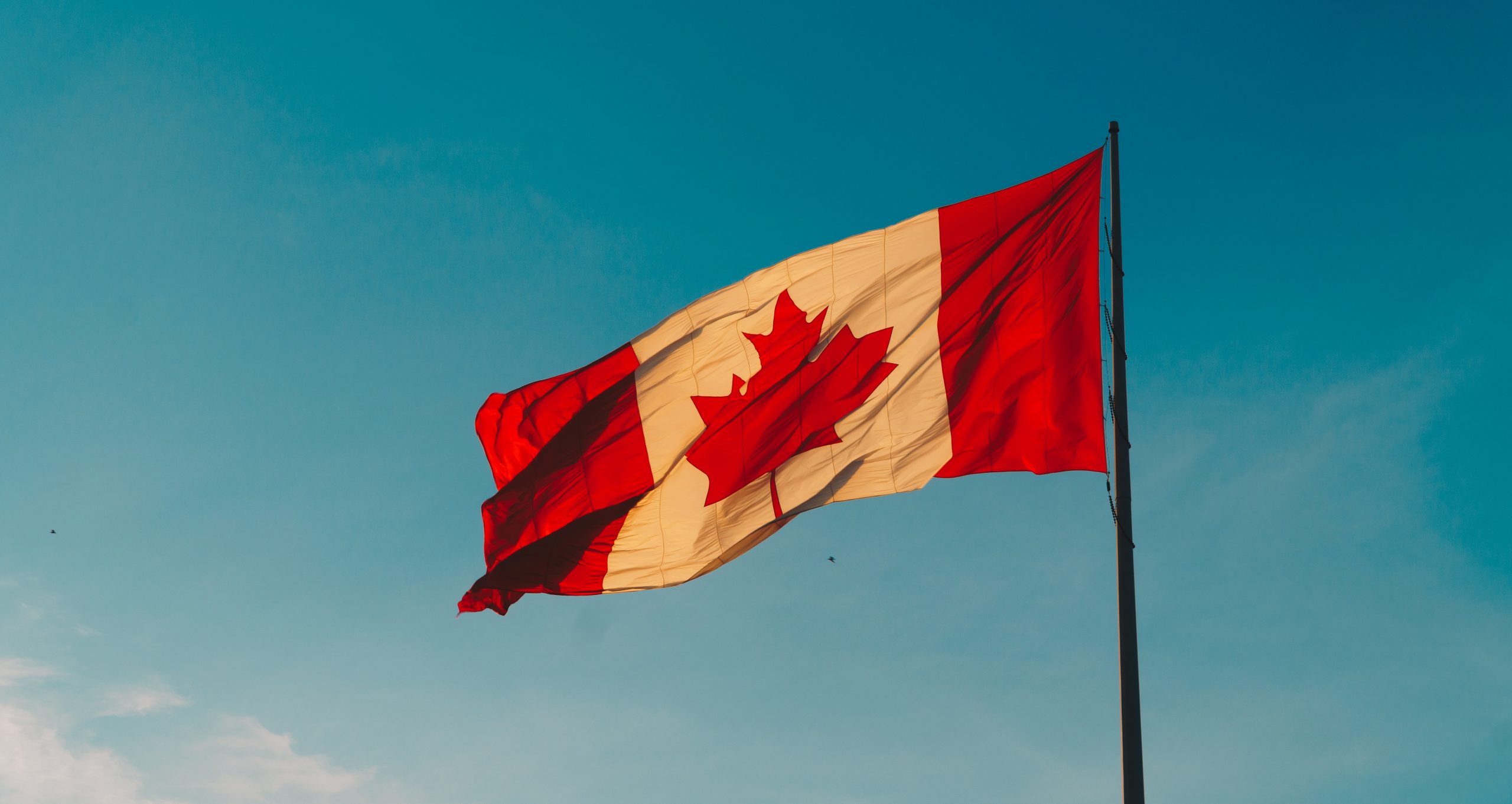 Guest Blog: The Canadian Context - Visible Minorities and DEI in Canada ...